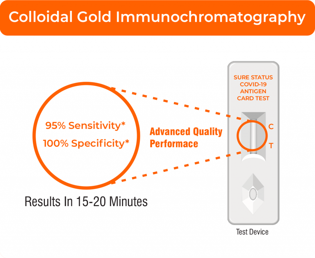 COVID-19 Antigen Card Test - Health Focus Ltd